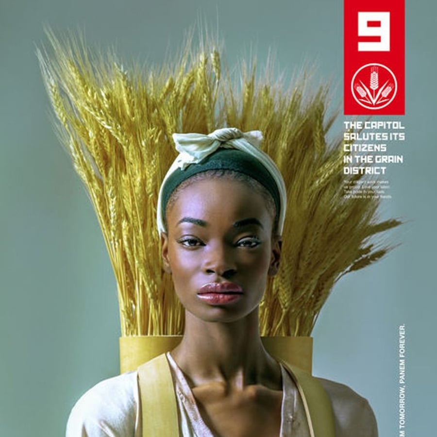 Mockingjay Part 1 Poster Districts Third Hunger Games Film Poses