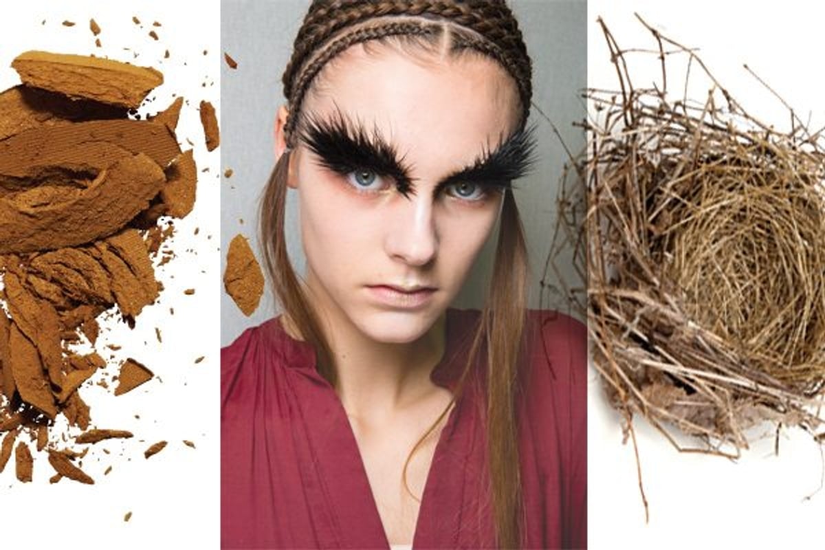 Would you use branches, mud and rodents as inspiration for your makeup ...