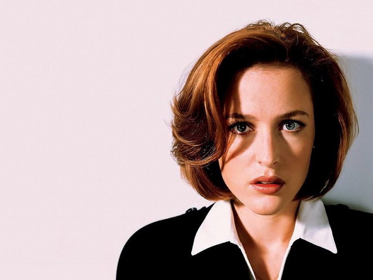 Everything I learned about minimalism I learned from Dana Scully ...
