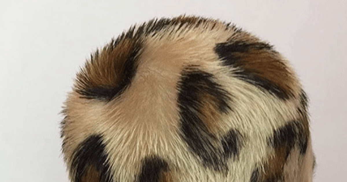 Leopard Print Hair is the Most Badass New Beauty Trend - FASHION Magazine