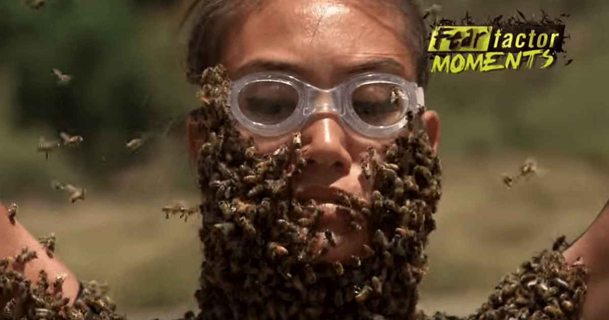 MTV is Bringing Back Fear Factor With Ludacris as Host - FASHION Magazine