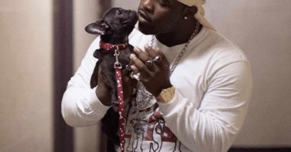 26 Photos of Rappers With Puppies - FASHION Magazine