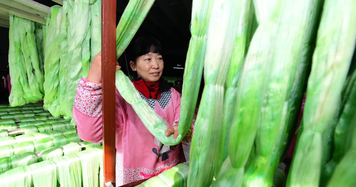 Fabric Made from Spider Silk Could Be Coming Our Way Very Soon ...