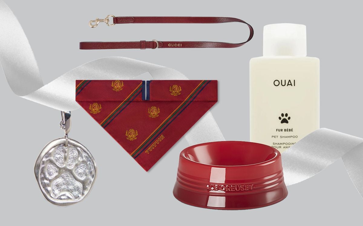 The Best Pet Gifts for Animal Lovers - FASHION Magazine