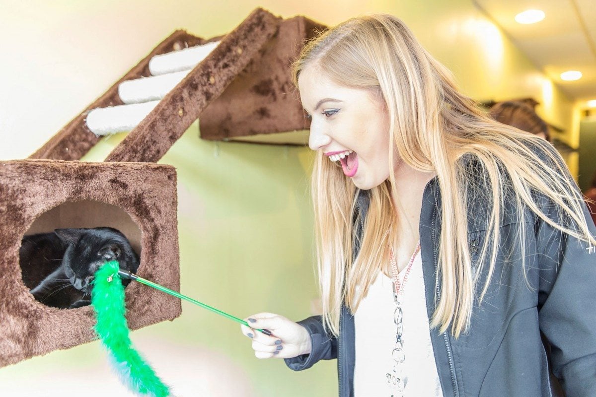 Street Style at Toronto’s new cat café: Yes, we went there - FASHION ...